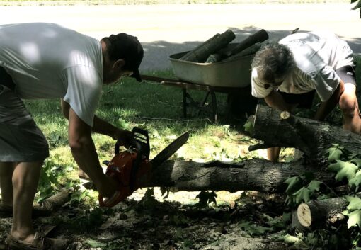 Lazarus Family Journey – NNPDF