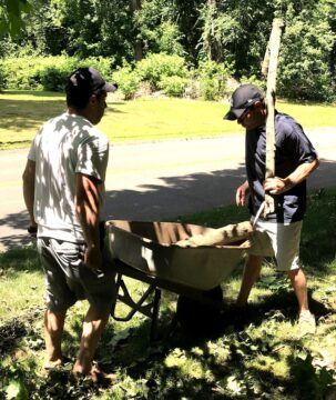 Lazarus Family Journey – NNPDF